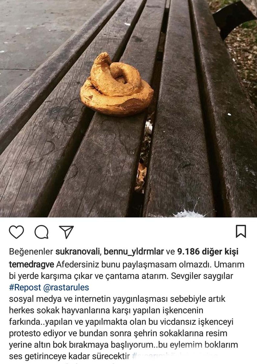 demet evgar ın bok resmi paylaşması - uludağ sözlük