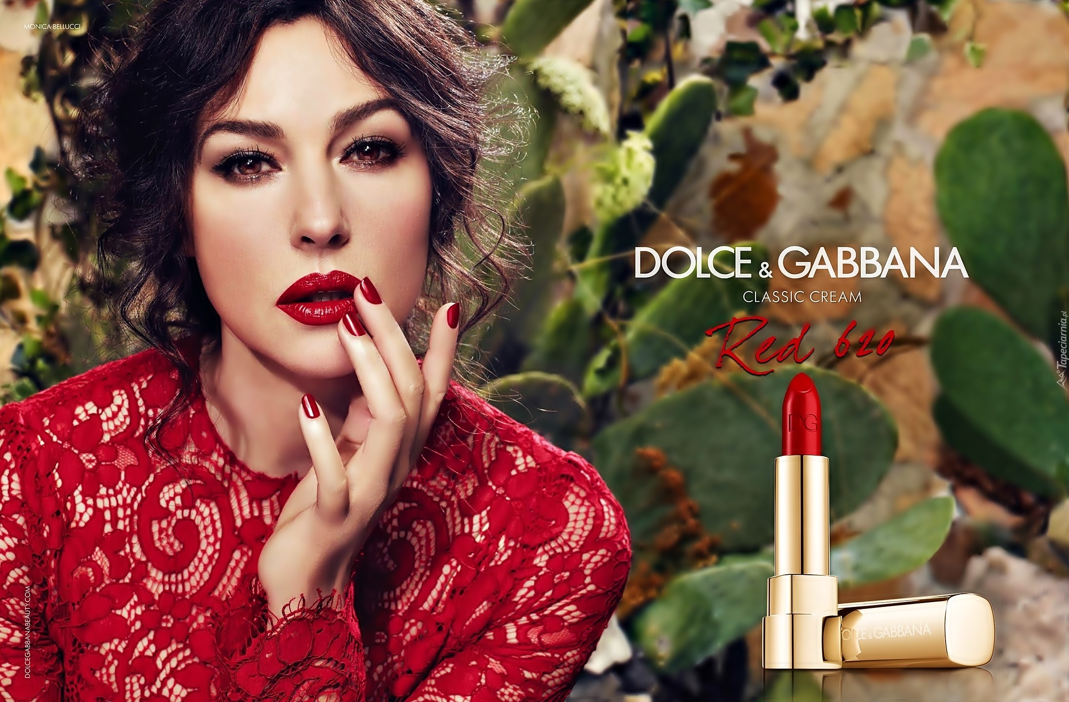 dolce gabbana - uludağ sözlük galeri