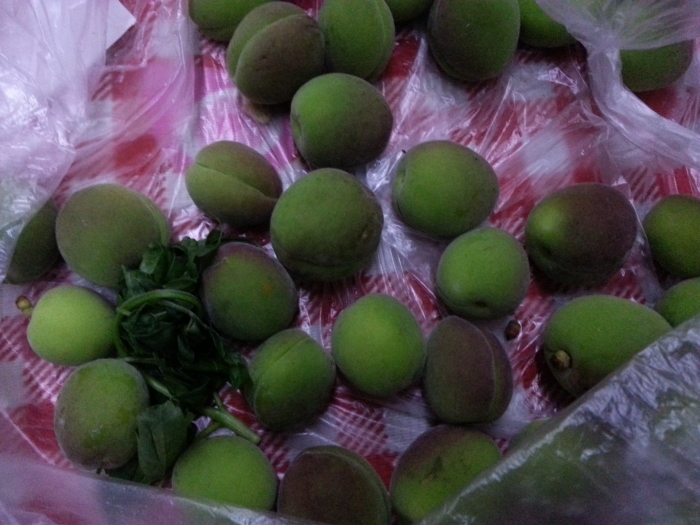 zerdali - sayfa 3 - uludağ sözlük