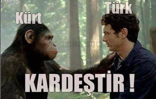 türk kürt kardeştir #1432019 - uludağ sözlük galeri