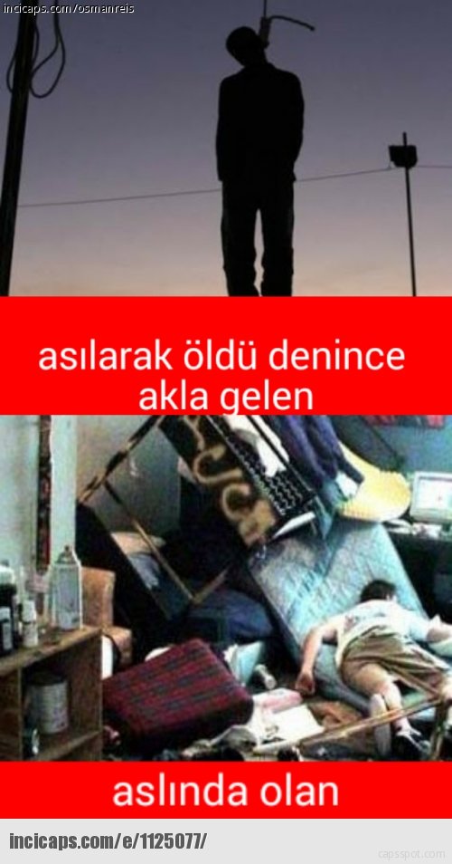 sikerim bu hayatı deyip 31 çekmek - uludağ sözlük