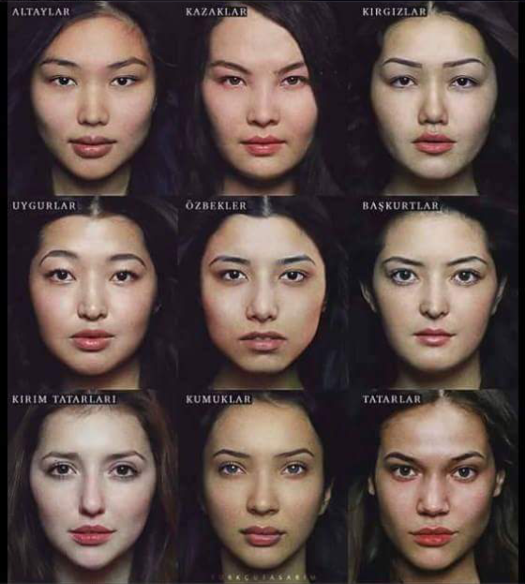 türk ırkının fiziksel özellikleri - uludağ sözlük