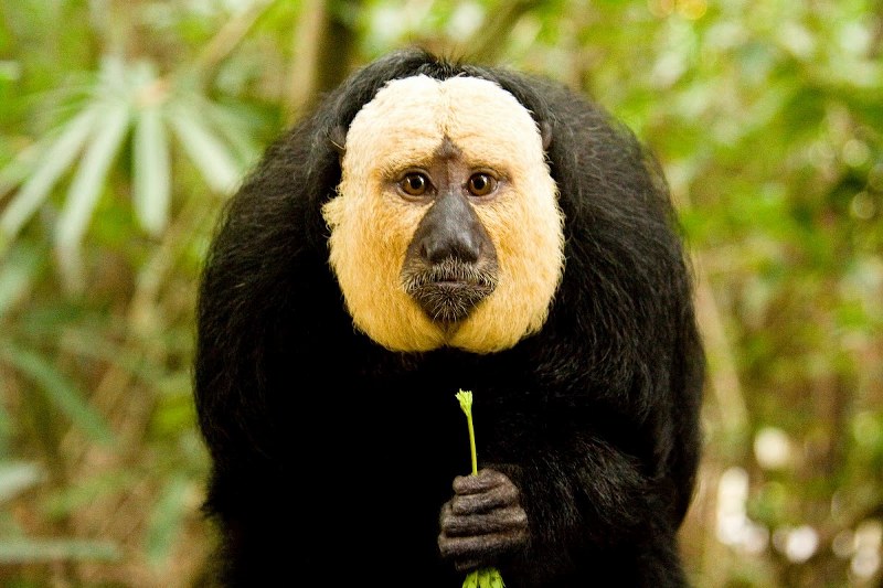 sayfa bulunamadı - uludağ sözlük galeri